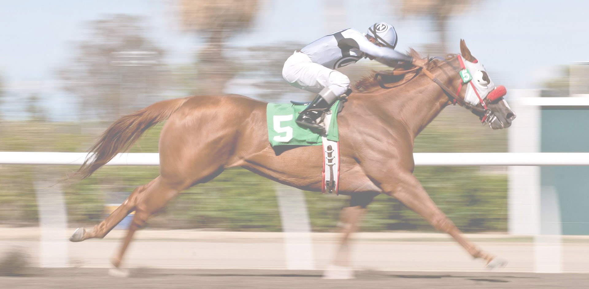 Home - Monterey County Fairgrounds