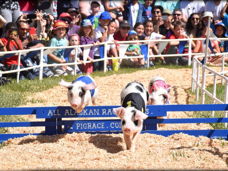 Concerts & Entertainment - Monterey County Fairgrounds