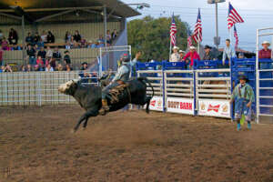 Concerts & Entertainment - Monterey County Fairgrounds