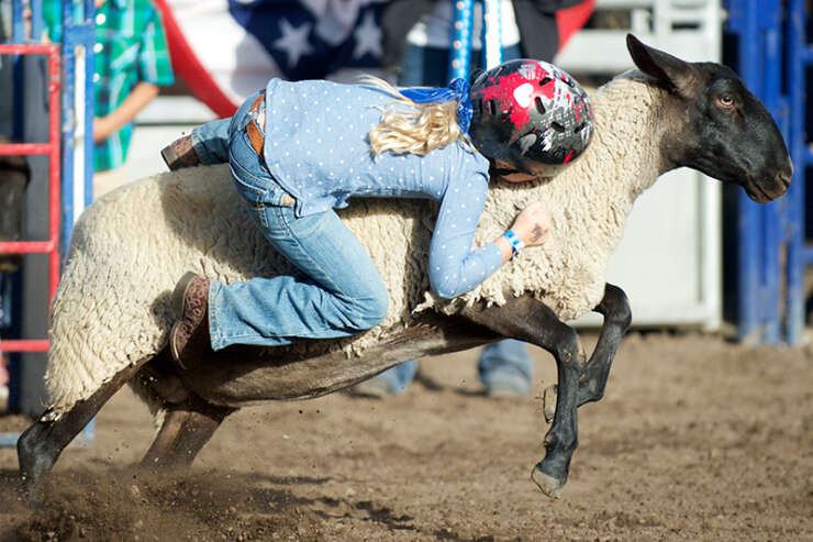 Concerts & Entertainment - Monterey County Fairgrounds