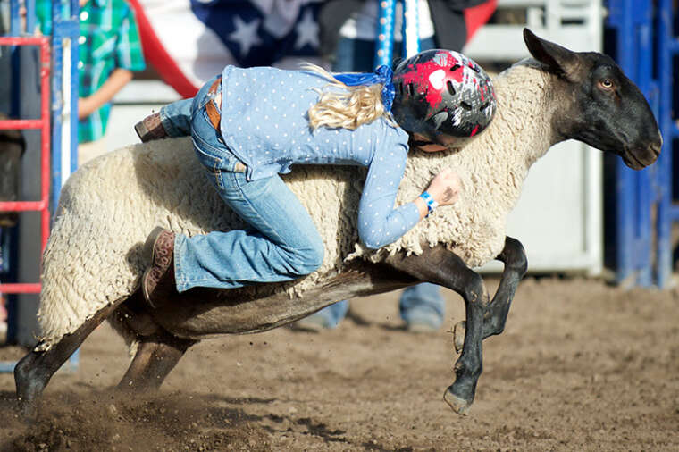 Concerts & Entertainment - Monterey County Fairgrounds