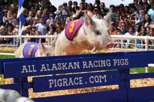 Concerts & Entertainment - Monterey County Fairgrounds