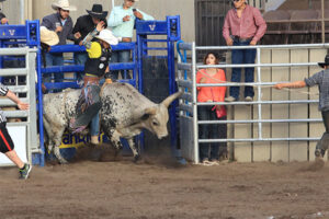 Concerts & Entertainment - Monterey County Fairgrounds