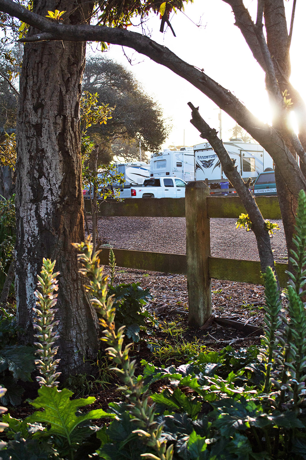 Monterey RV Park - Monterey County Fairgrounds
