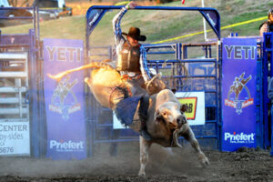 Concerts And Entertainment Monterey County Fairgrounds