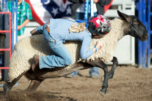 Concerts & Entertainment - Monterey County Fairgrounds